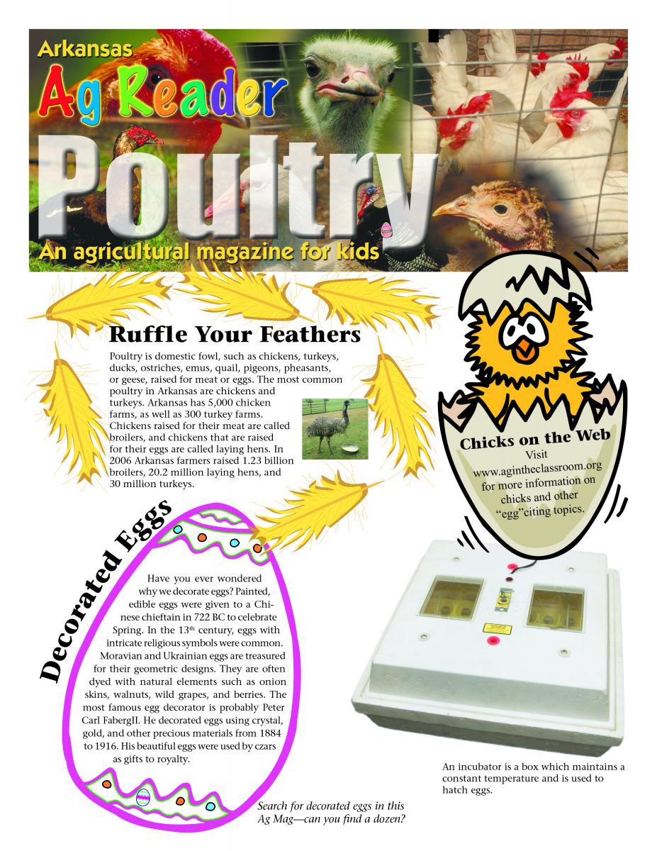 Ag in the Classroom - Arkansas Corn and Grain Sorghum Board